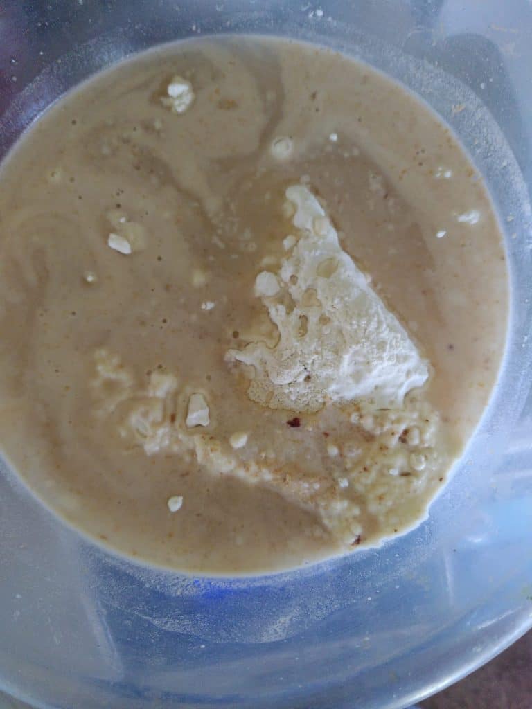 Time to ferment bread with raisin water - Severn Bites Bread classes in ...